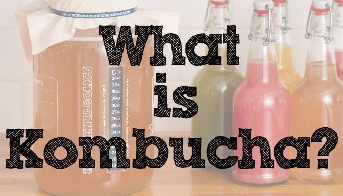 WHAT IS KOMBUCHA? | FERMENTAHOLICS