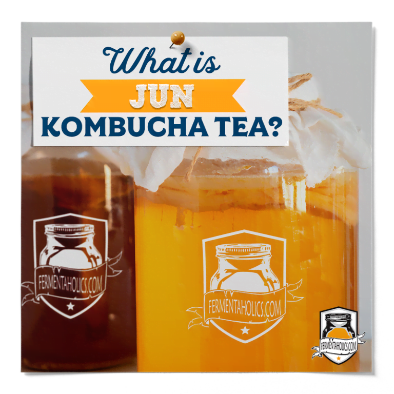 Tips For Brewing Kombucha During Winter: A Resourceful Guide