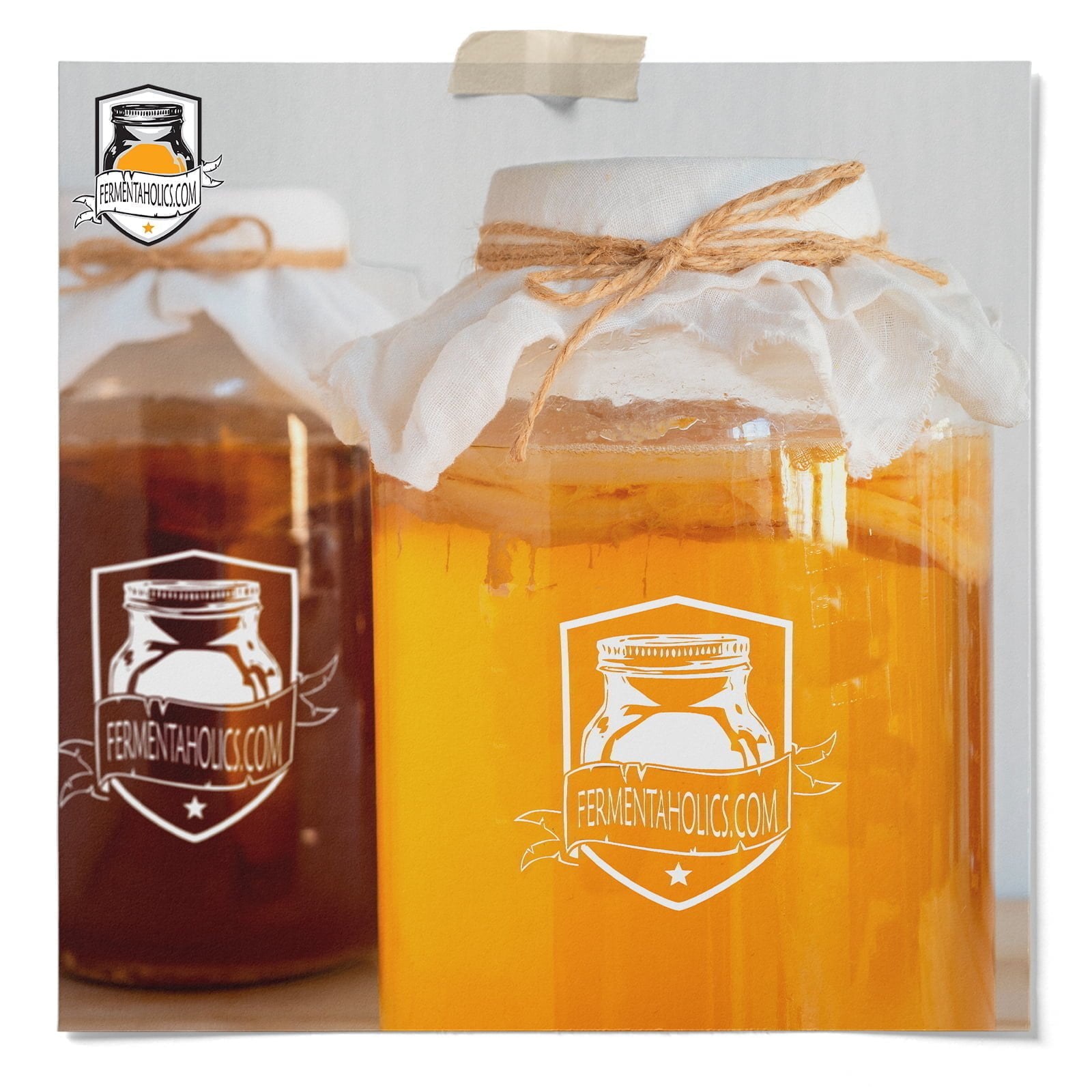 What Is Jun Kombucha Tea? A Beginner's Guide to Jun Tea