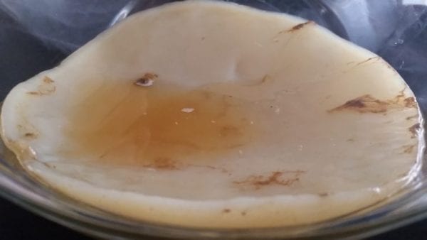 Info About Kombucha Scoby | Fermentaholics | FAQs