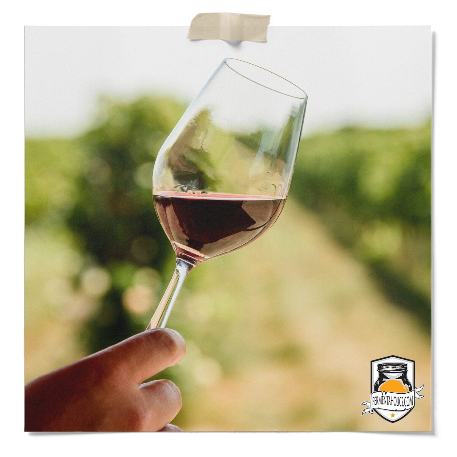 Understanding Acid Blend in Wine making: A Guide to Achieve Good Balance