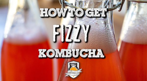 How To Get Fizzy Kombucha | Fermentaholics