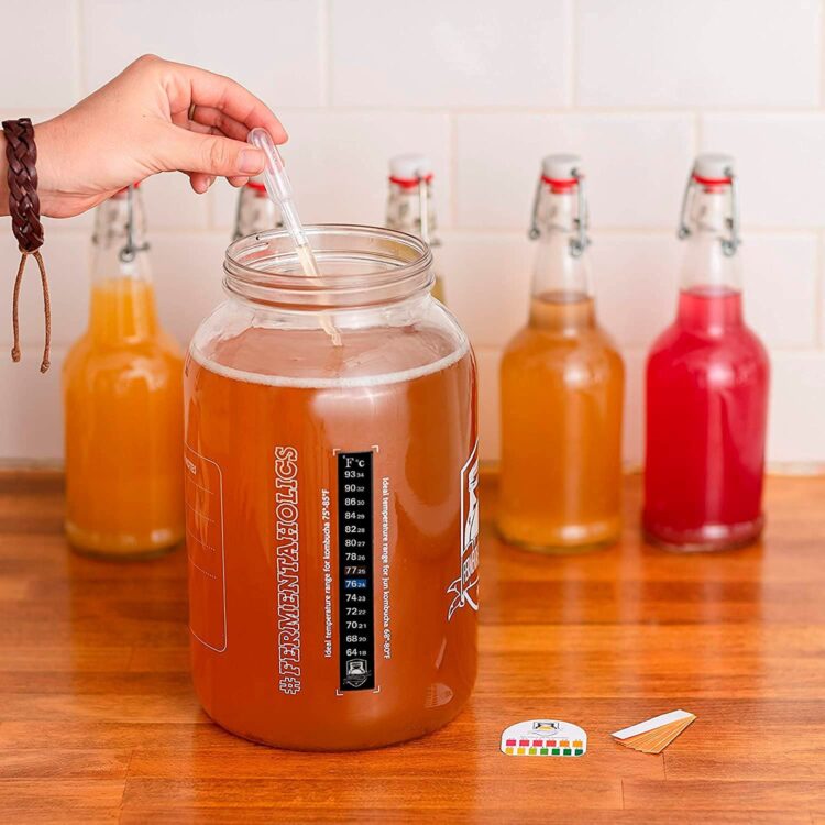 USDA Certified Organic Extra Large Kombucha Scoby