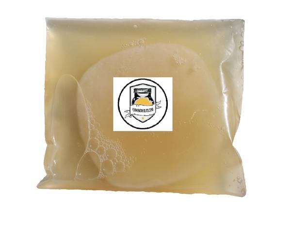 Jun Kombucha Live starter culture – Fermentaholics