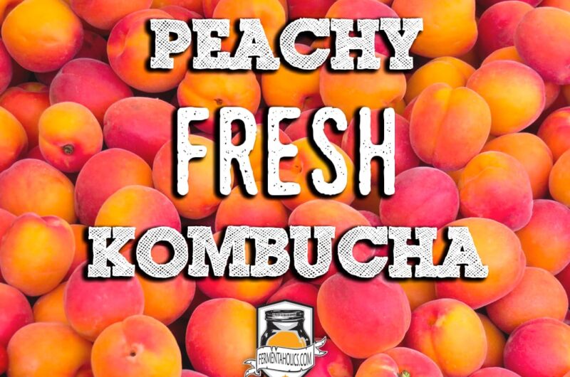 Peachy Fresh Kombucha Recipe | Fermentaholics