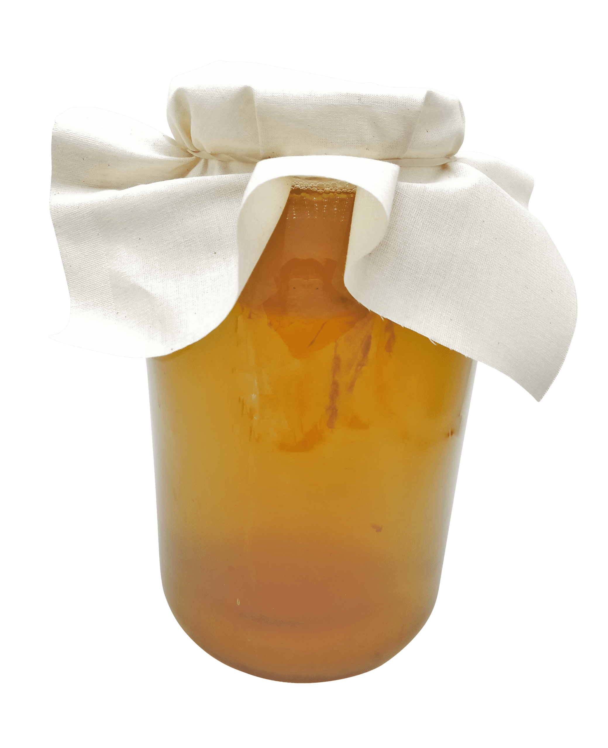 Unbleached Muslin Kombucha Covers - 4 Pack with Rubber Bands ...