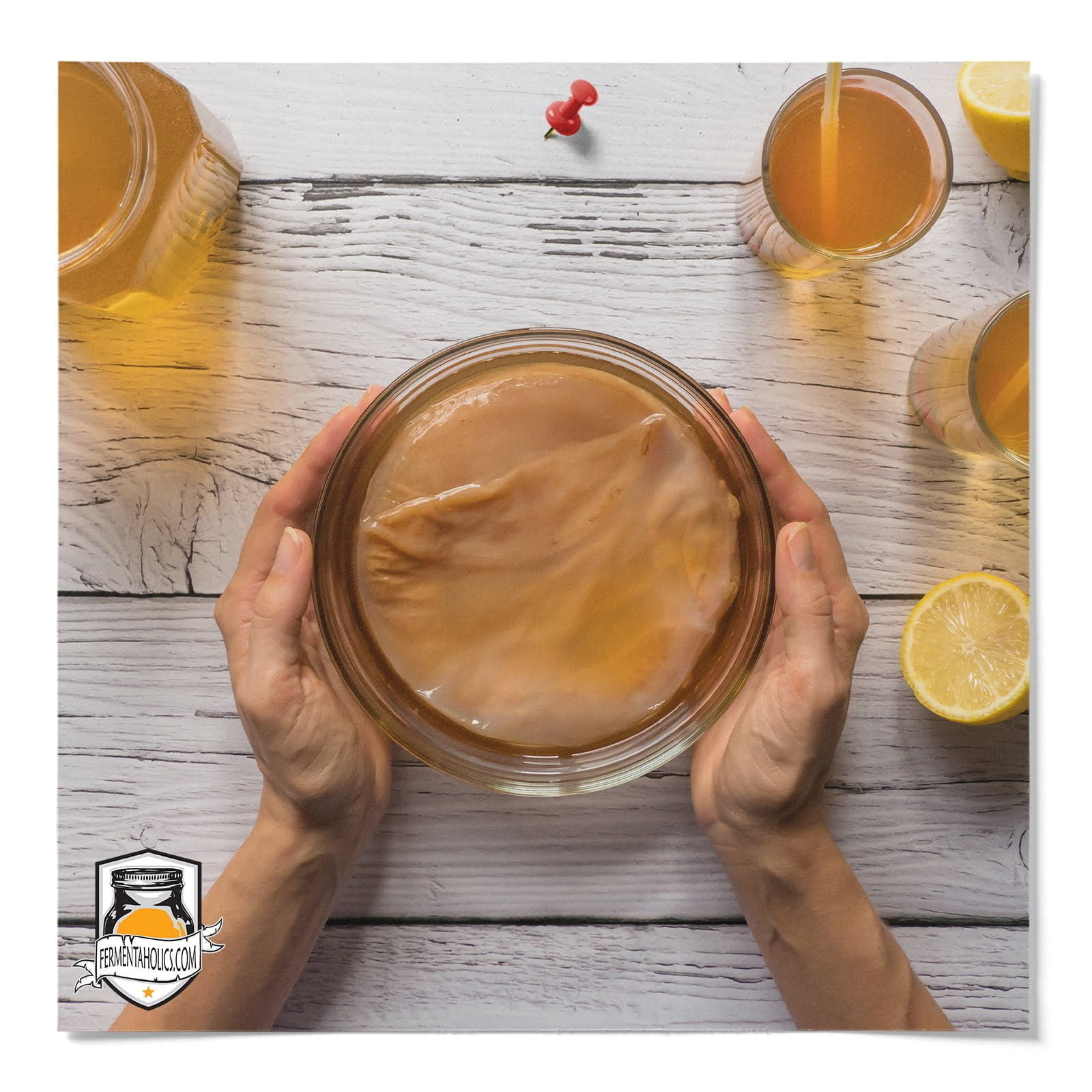 FAQ: What's the White Waxy Layer Growing on my Kombucha Brew