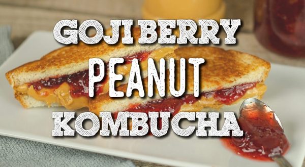 Tasty Goji Berry & Peanut Kombucha Recipe: A Flavorful Blend