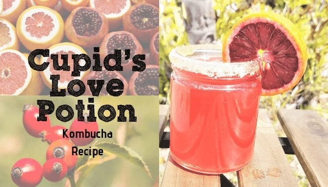 Cupid's Love Potion Kombucha Recipe | Fermentaholics