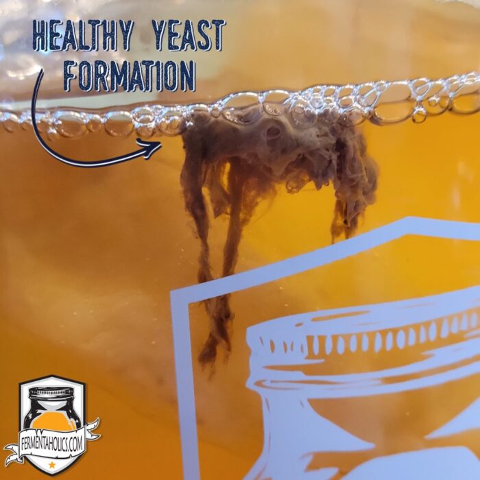 What Is That Brown Stuff In My Kombucha? Black, Gray or Dark