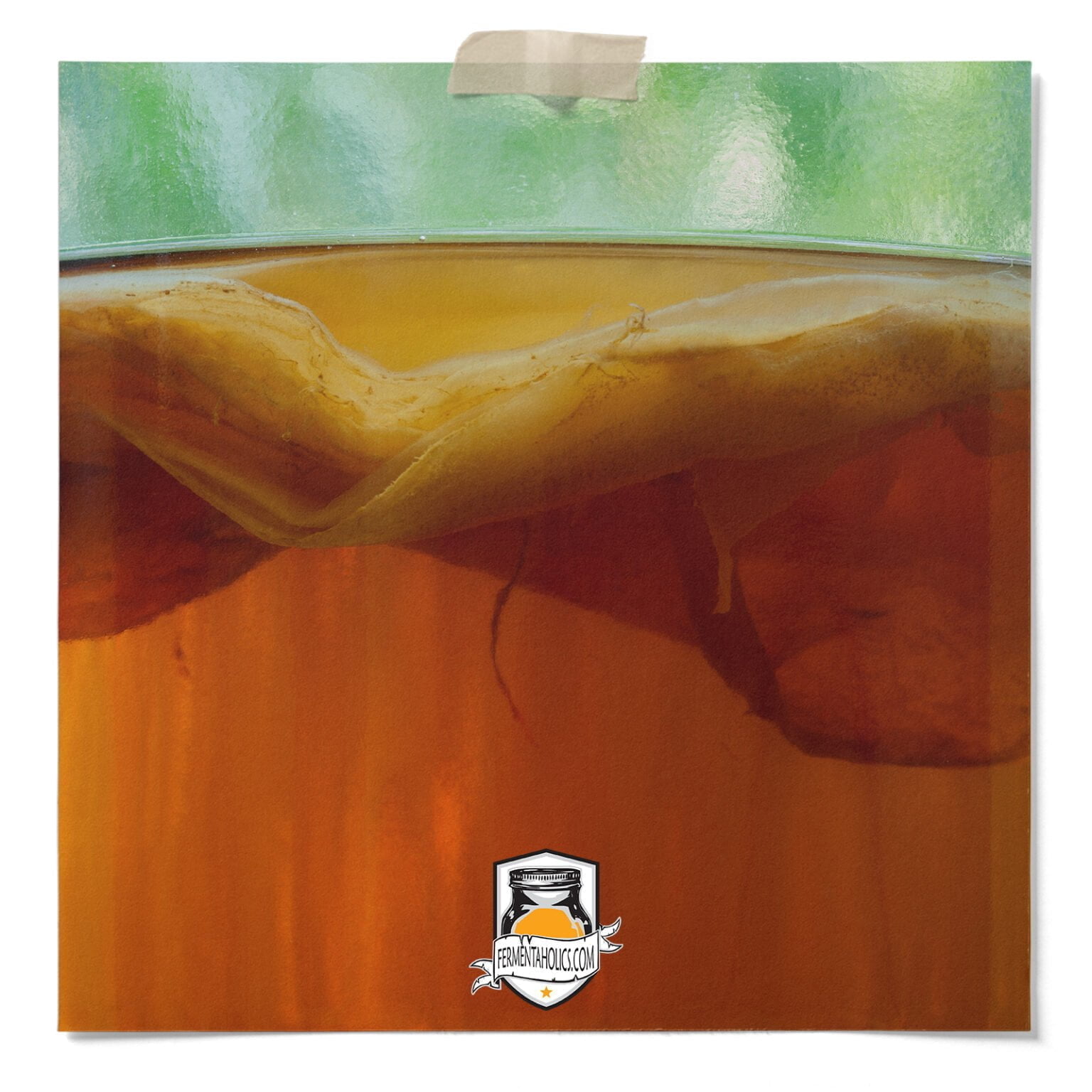 Continuous Kombucha Brewing: A Complete Step-by-Step Guide