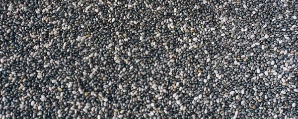 Adding Chia Seeds to Kombucha | Discover the Benefits