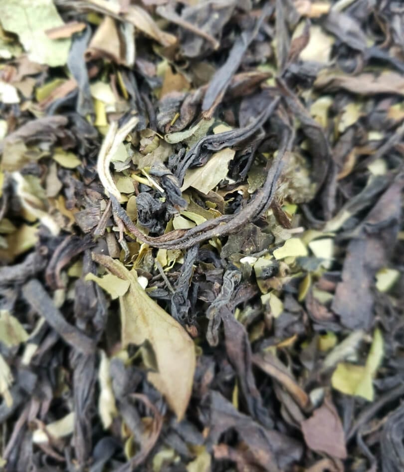 ELEMENTS | AIR KOMBUCHA LOOSE LEAF TEA BLEND | 12 GALLONS