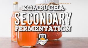 How to Do a Kombucha Secondary Fermentation: A Comprehensive DIY Guide