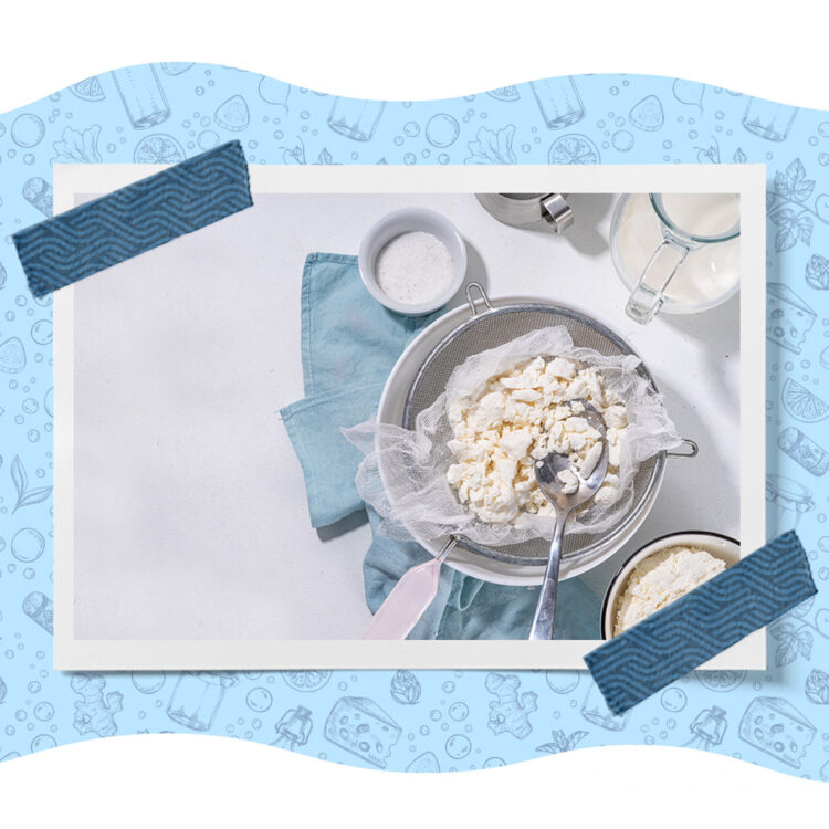 "Make Homemade Fresh Cheese with DIY Cheese Making Kit"