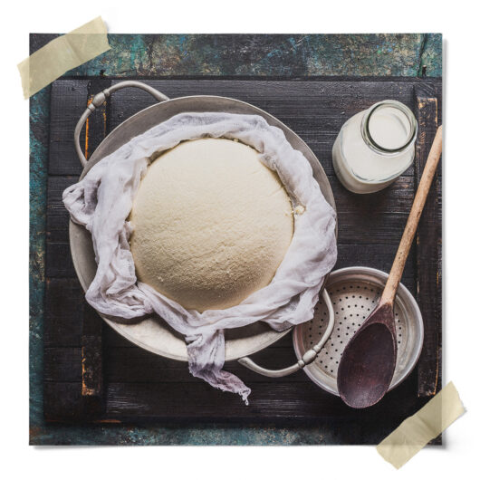 "Make Homemade Fresh Cheese with DIY Cheese Making Kit"