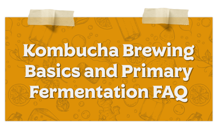 Kombucha Brewing Guide: The Ultimate How-to Process