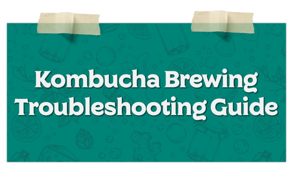 Kombucha Brewing Guide: The Ultimate How-to Process