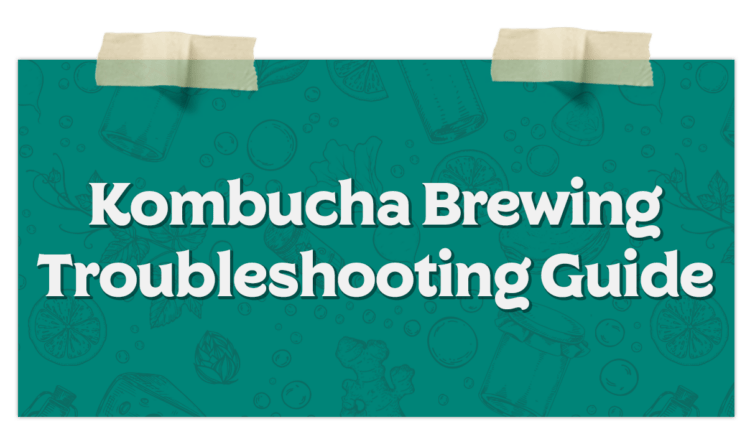 Kombucha Brewing Guide: The Ultimate How-to Process
