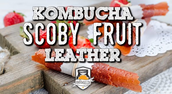 How to Make SCOBY Fruit Leather: A Probiotic-Packed, Zero-Waste Snack