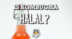 Is Kombucha Halal? Detailed Halal Status of Kombucha