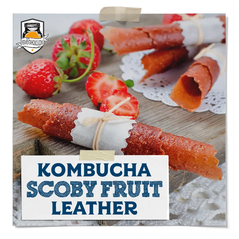 How To Store Extra SCOBYs: The Best SCOBY Hotel Making Guide