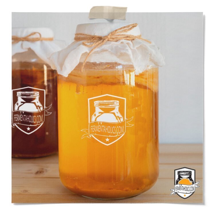 Kombucha Brewing Guide: The Ultimate How-to Process