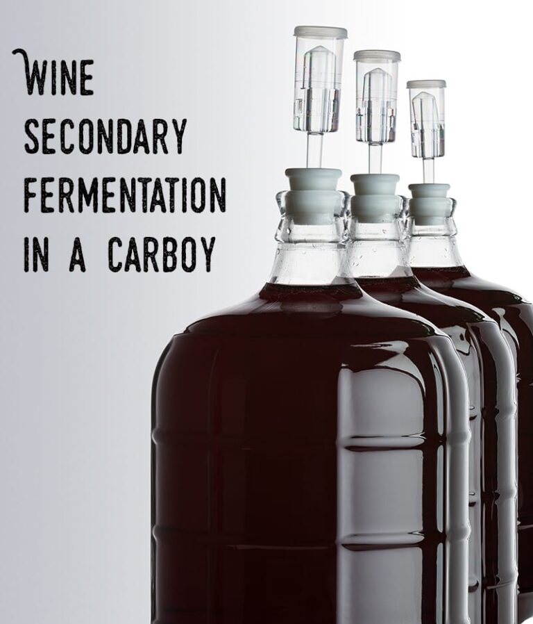 Secondary Fermentation Vs Bottle Conditioning: Key Differences