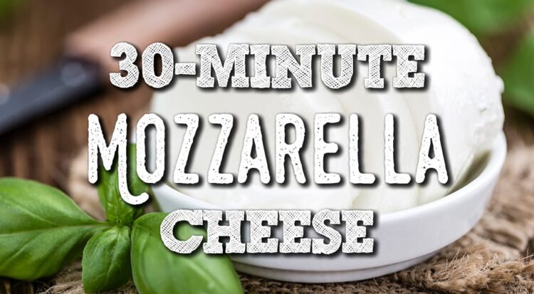 30-Minute Mozzarella Cheese Recipe: Quick and Easy DIY Cheese Making