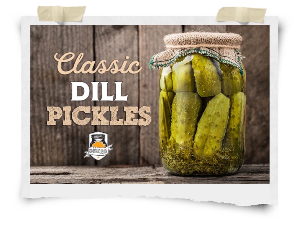 Homemade Classic Dill Pickle Recipe: Tangy, Crunchy, and Delicious
