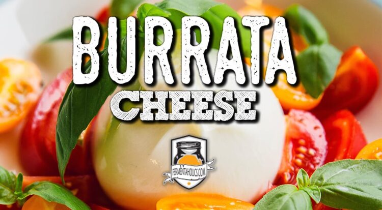 DIY Burrata Cheese Recipe: An Easy Artisan Cheese Making Recipe at Home: