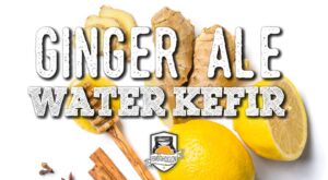 How to Make Ginger Ale Water Kefir: Your Natural Soda Alternative