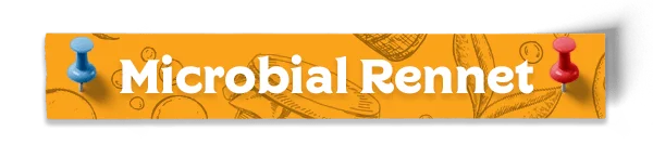 Rennet: Quality Enzyme for Cheese's Flavors and Textures