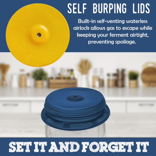 Silicone Fermentation Stretch Lids For Wide Mouth Mason Jars ...