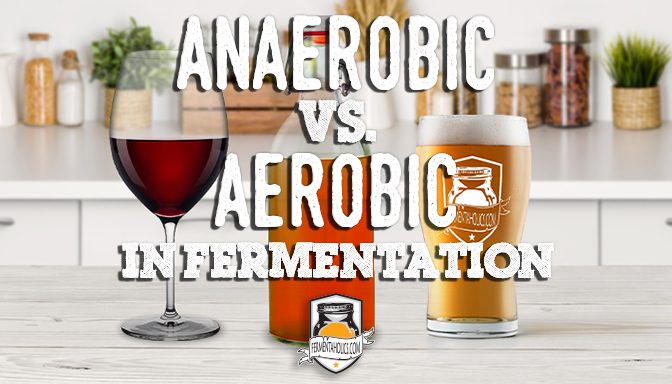 Anaerobic vs Aerobic in Fermentation: Discover the Difference
