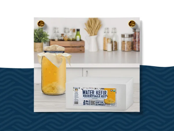 Live Water Kefir Essentials Kit: Your Fresh Brewing Starter Set