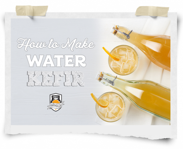 How to Brew Water Kefir: The Ultimate Guide