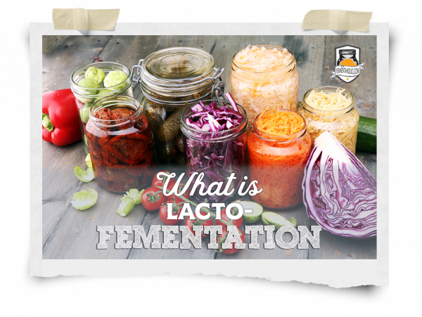 Lacto-Fermentation for Gut Health: All-inclusive Guide