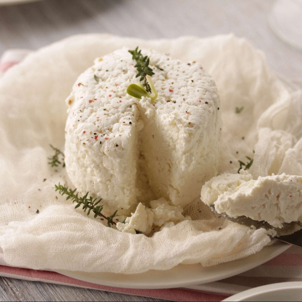 "Make Homemade Fresh Cheese with DIY Cheese Making Kit"