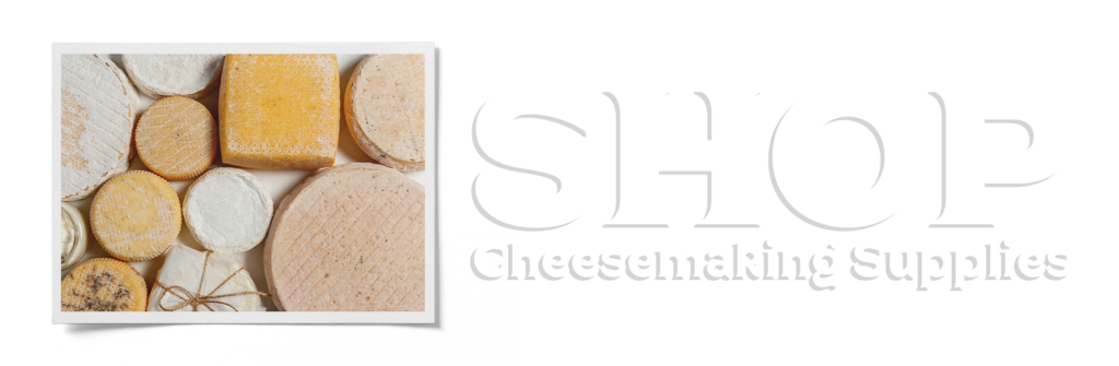 Rennet: Quality Enzyme for Cheese's Flavors and Textures