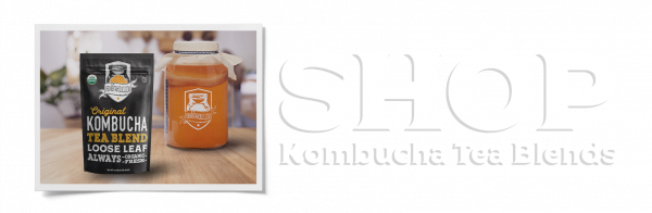 Kombucha Brewing Ratio: A Reliable Ingredient Scale Guide