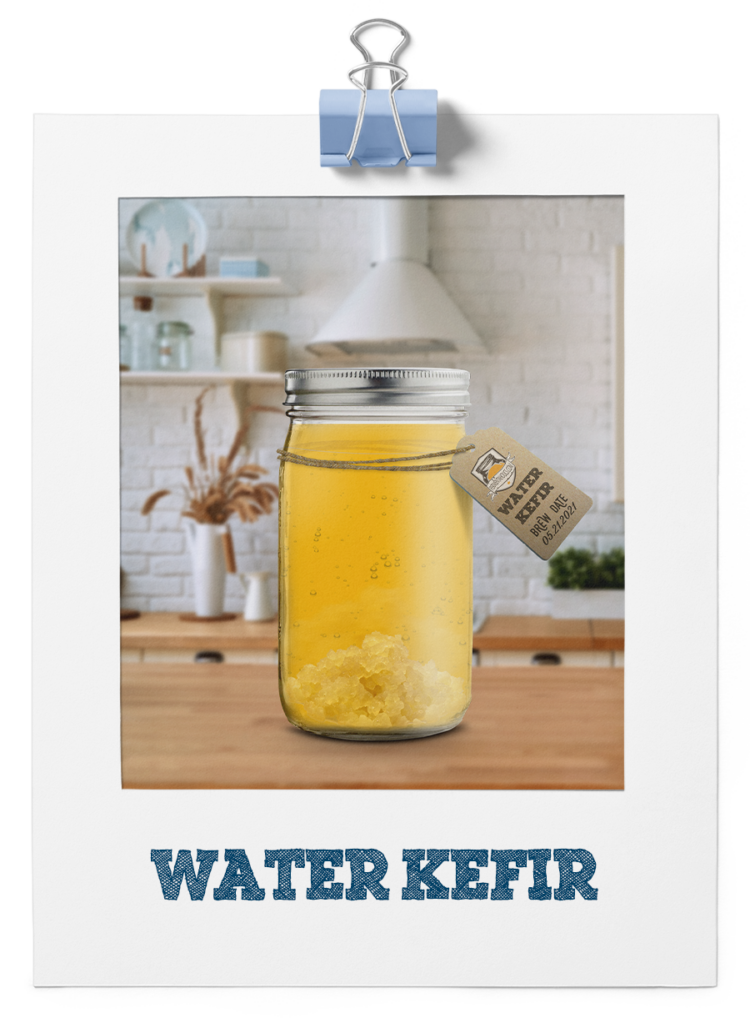 Water Kefir Secondary Fermentation: How to Bottle, Flavor, and ...