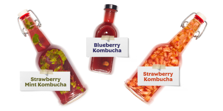 How to Make Kombucha - Fermentaholics