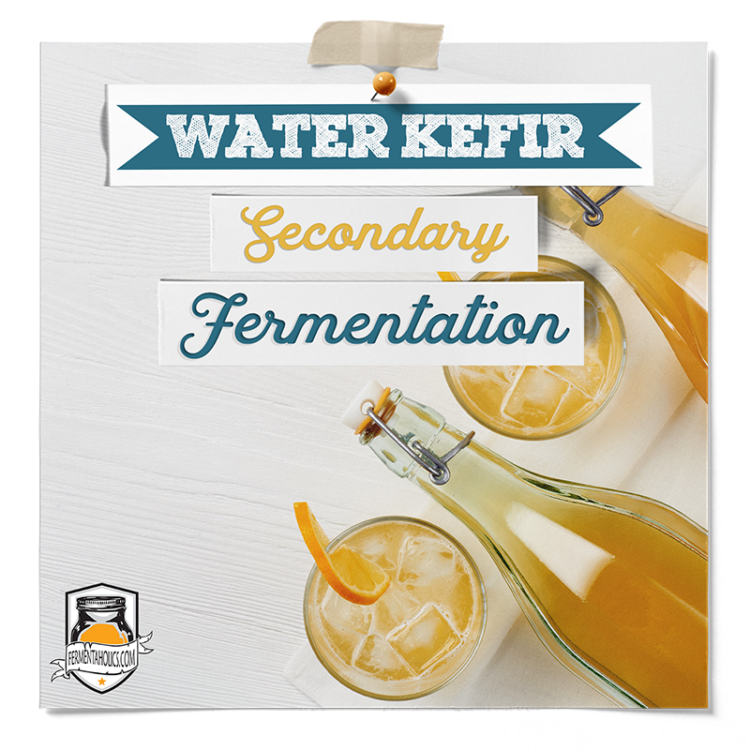 All-In-One Fermentation Learning Hub: Master the Art - Fermentaholics
